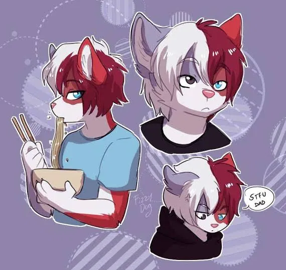 Character - Shouto Todoroki