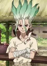 Character - Senku Ishigami - Dr. Stone