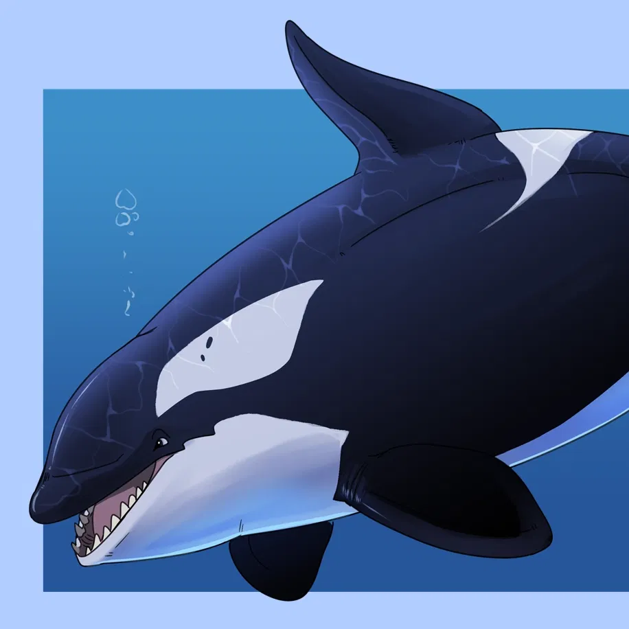 Character - Orca (Male)