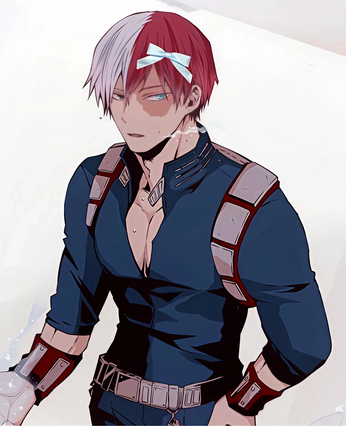 Character - Shoto Todoroki