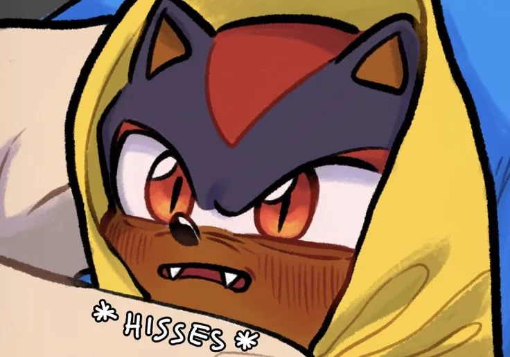 Character - Shadow The Hedgehog