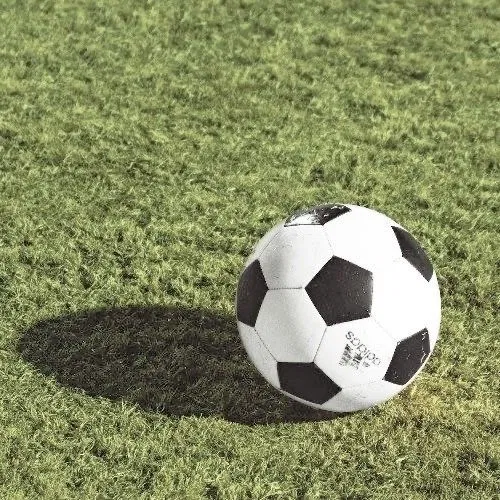 Character - Bruce (ALT SCENARIO)