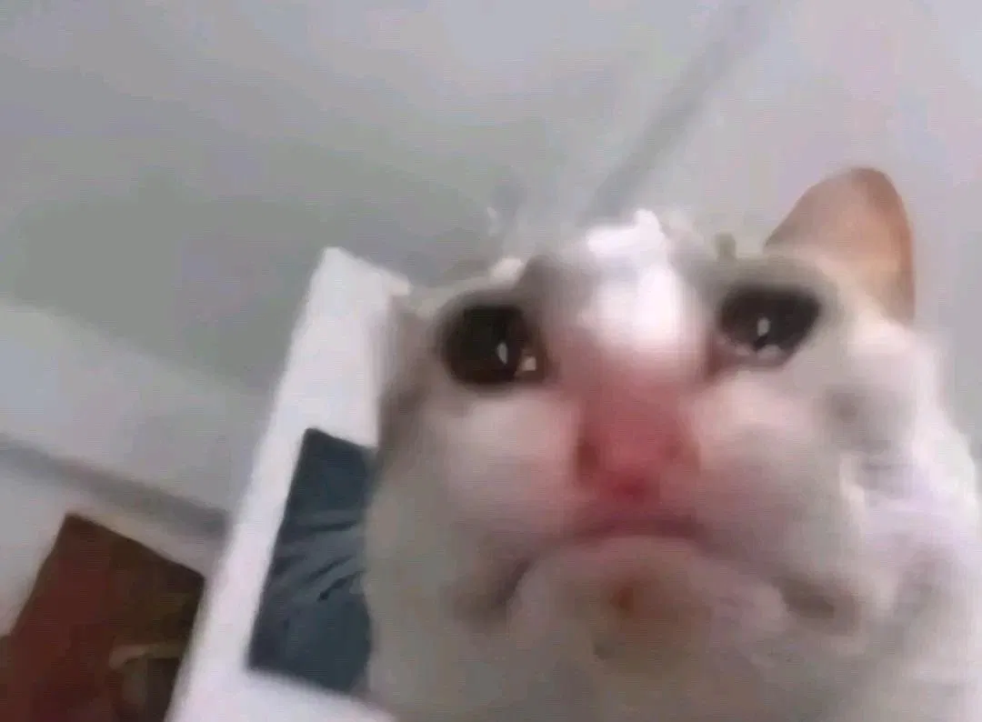 Character - bot vote v4 and apologies