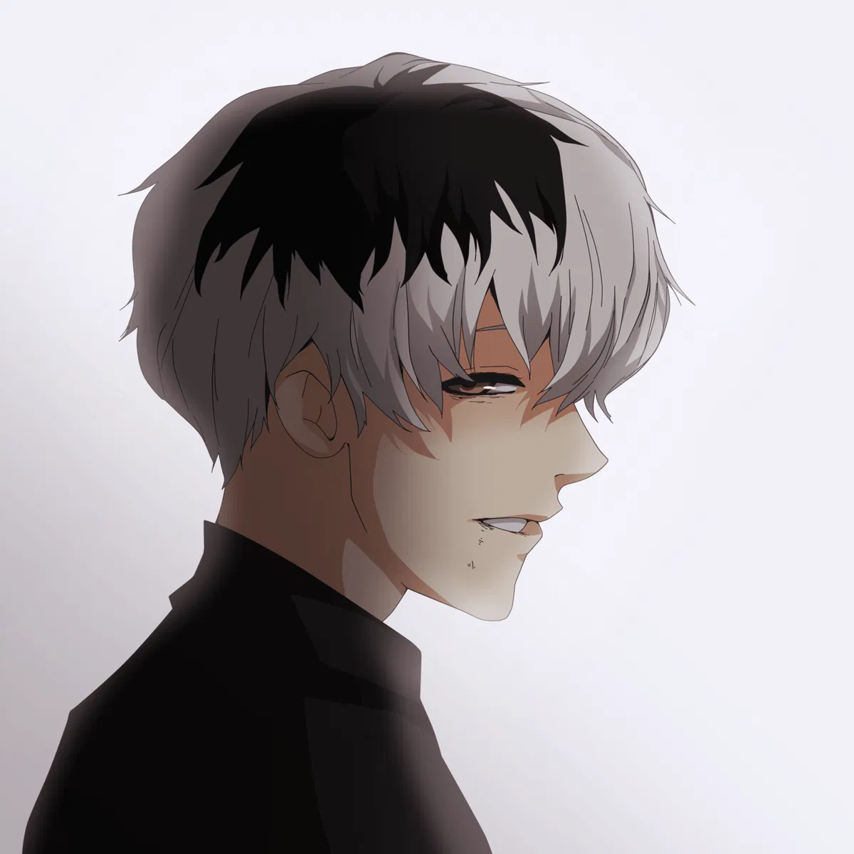 Character - 14 —— Haise Sasaki (Ken Kaneki)
