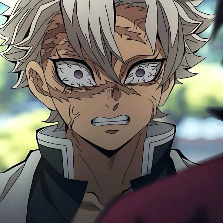 Character - Sanemi Shinazagawa | The Wind Hashira
