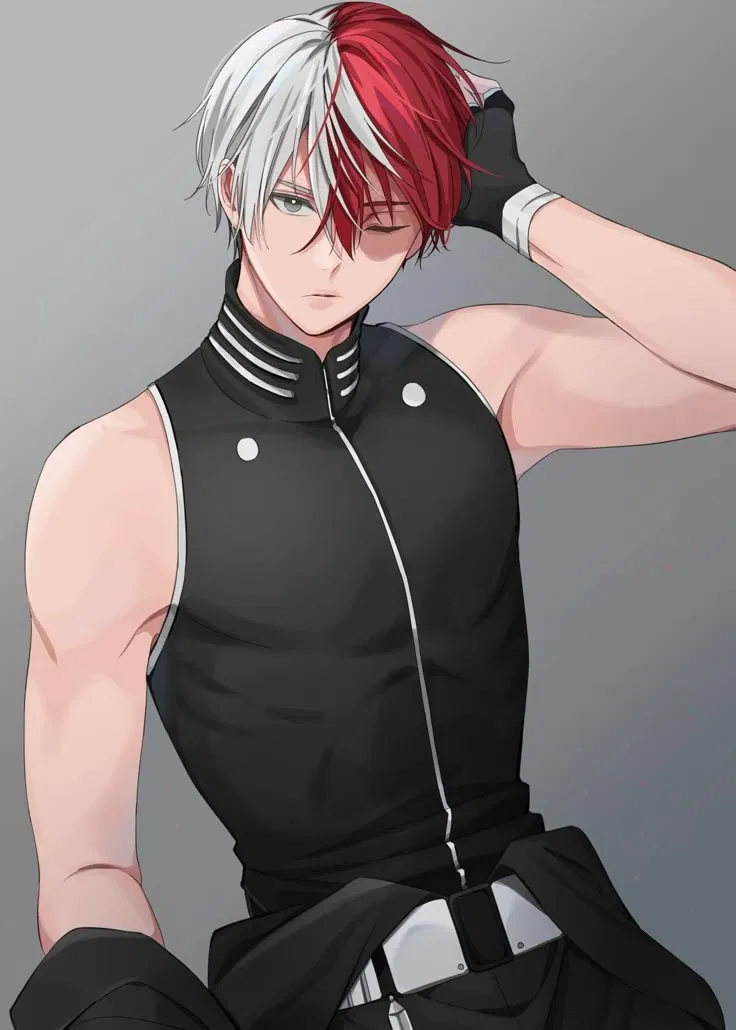 Character - Shoto Todoroki | Club Antics