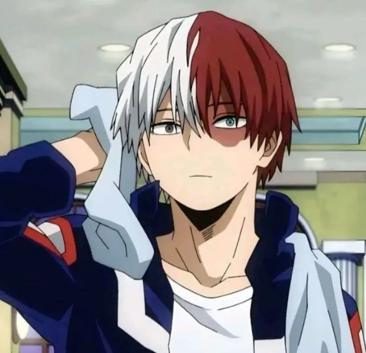 Character - Shoto Todoroki