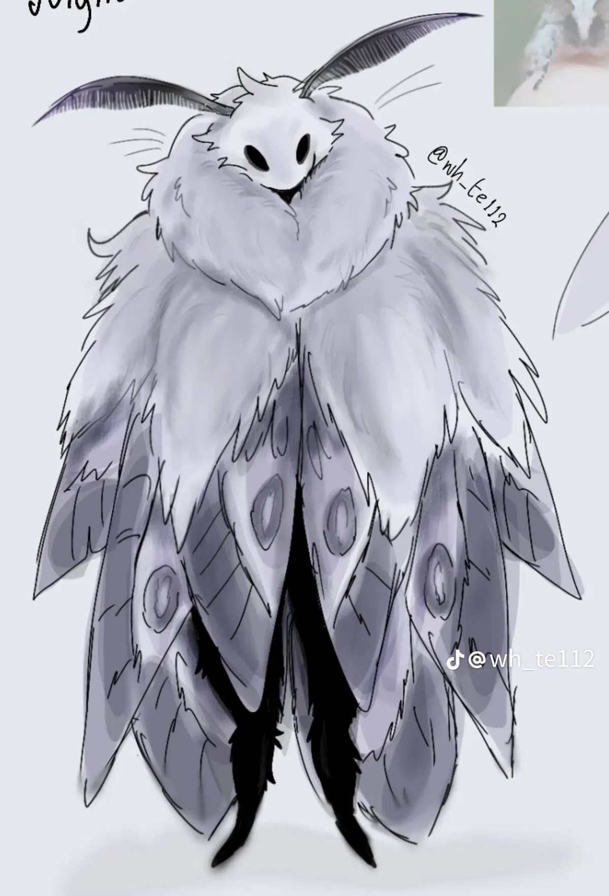 Character - Flumeth (night moth) Hollow knight