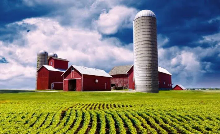 Character - Demi human farm