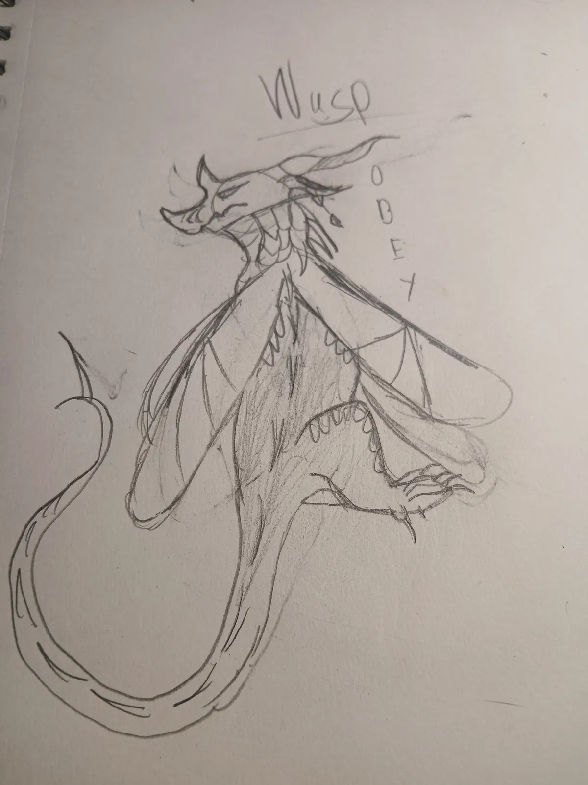 Character - Queen Wasp | WOF/Wings Of Fire