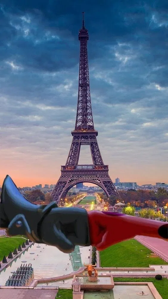 Character - Ladybug and Cat Noir