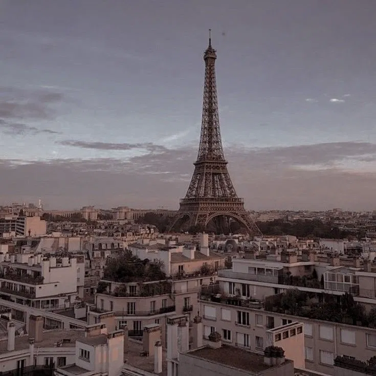 Character - Miraculous: Tales of Ladybug & Cat Noir | RPG