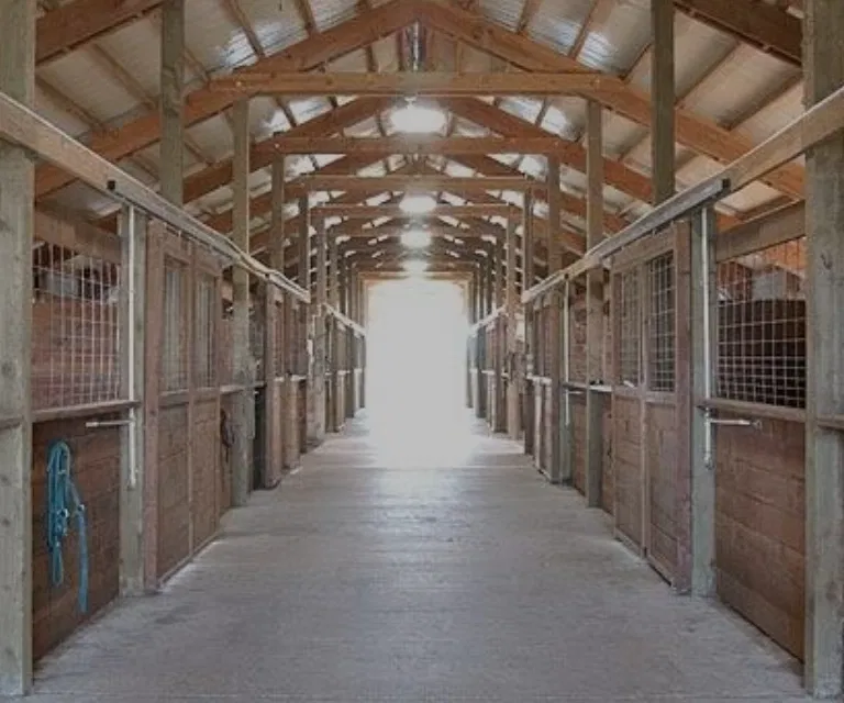 Character - stable horse furry