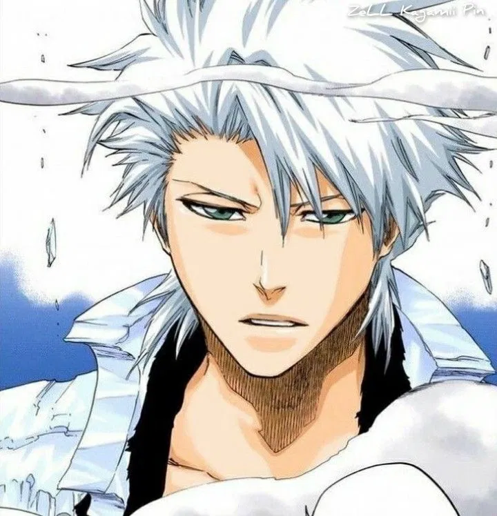 Character - Toshiro Hitsugaya