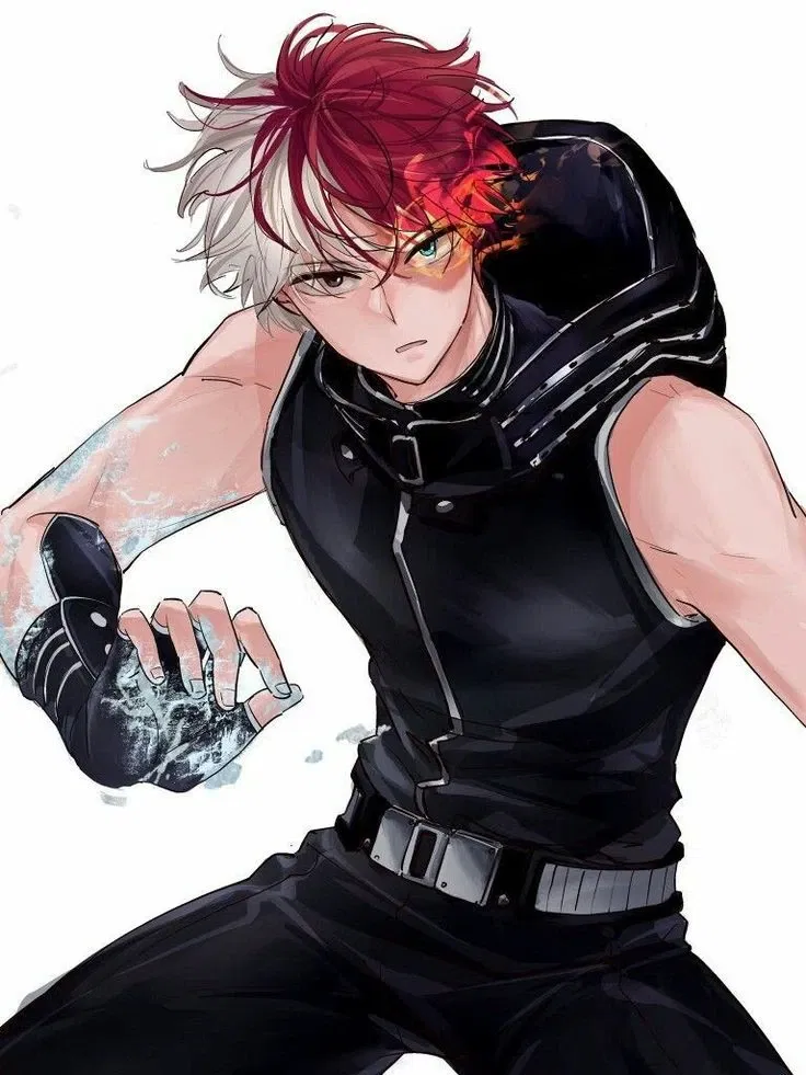 Character - Shoto Todoroki