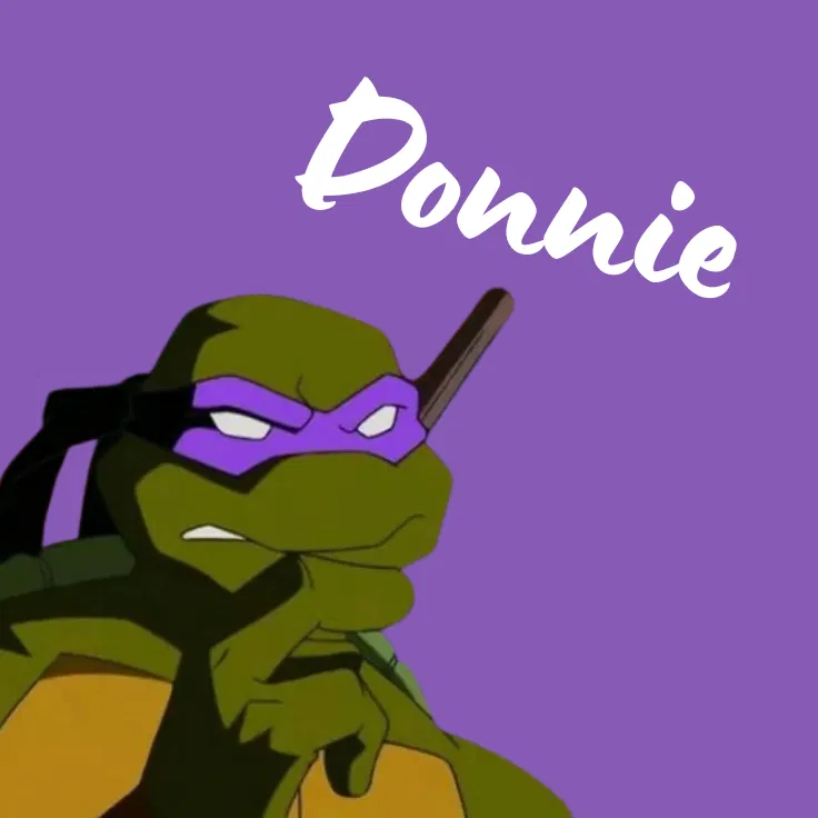 Character - Donatello - 2003